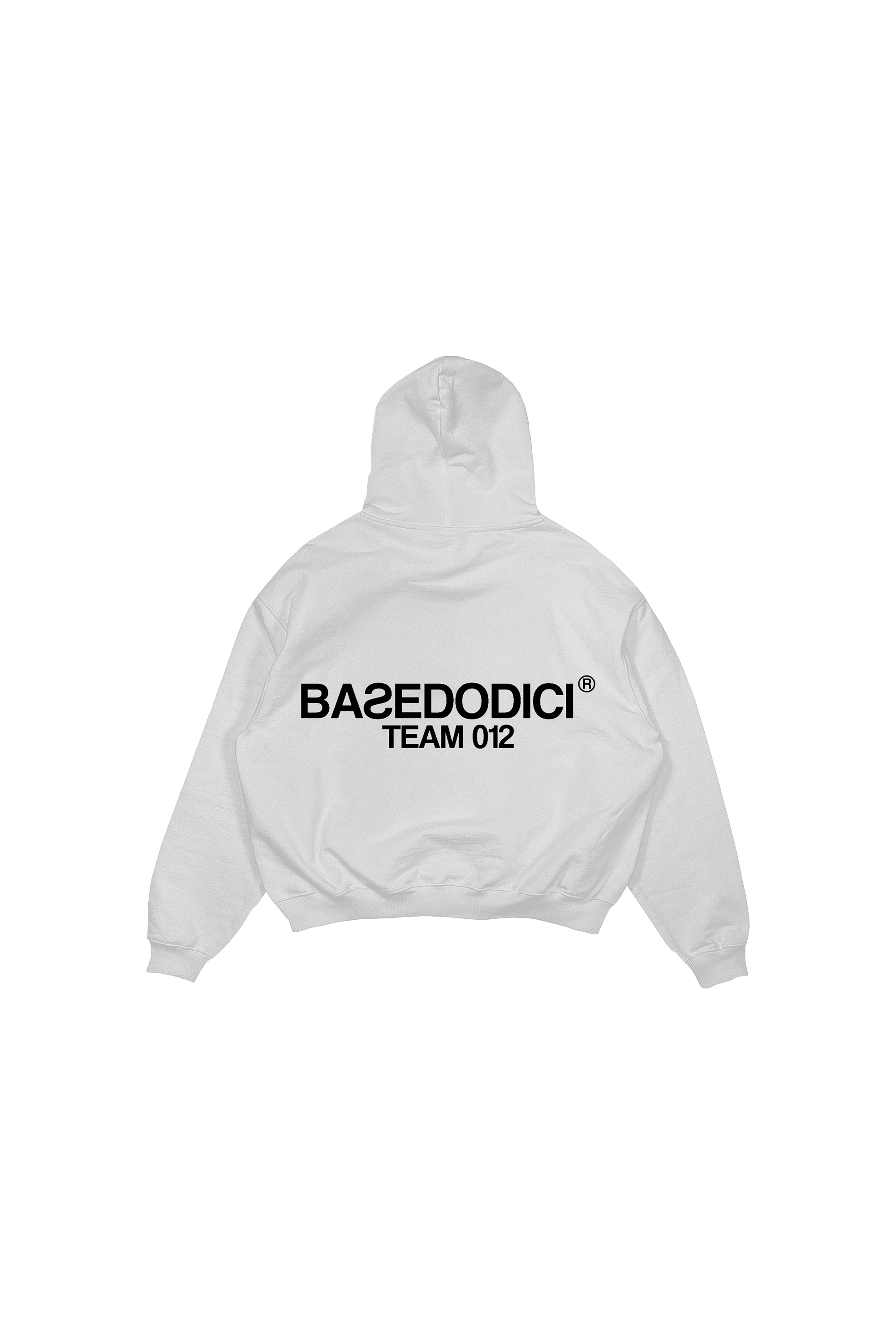 Hoodie “THEICON” Team012 White – BASEDODICI®